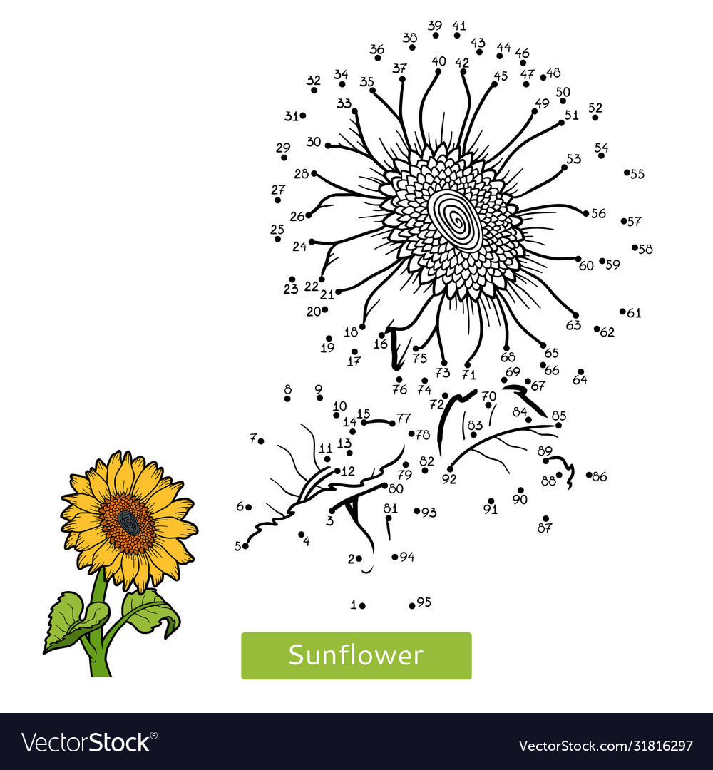 Numbers game for children flower sunflower Vector Image
