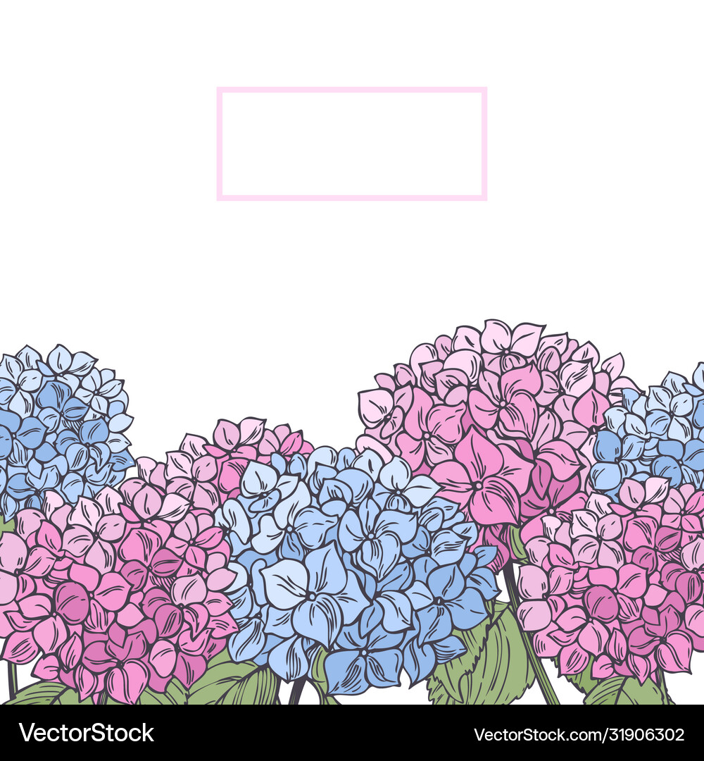Background with hand drawn garden flowers pink Vector Image
