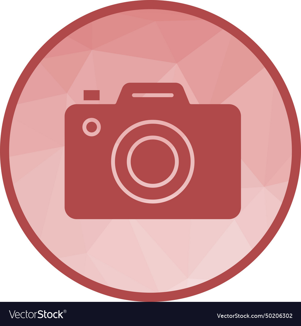 Camera icon image Royalty Free Vector Image - VectorStock