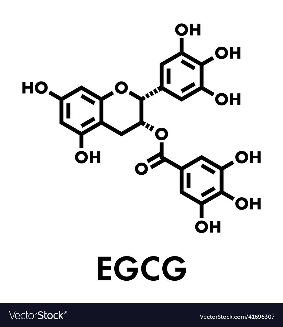 Epigallocatechin gallate egcg green tea Royalty Free Vector