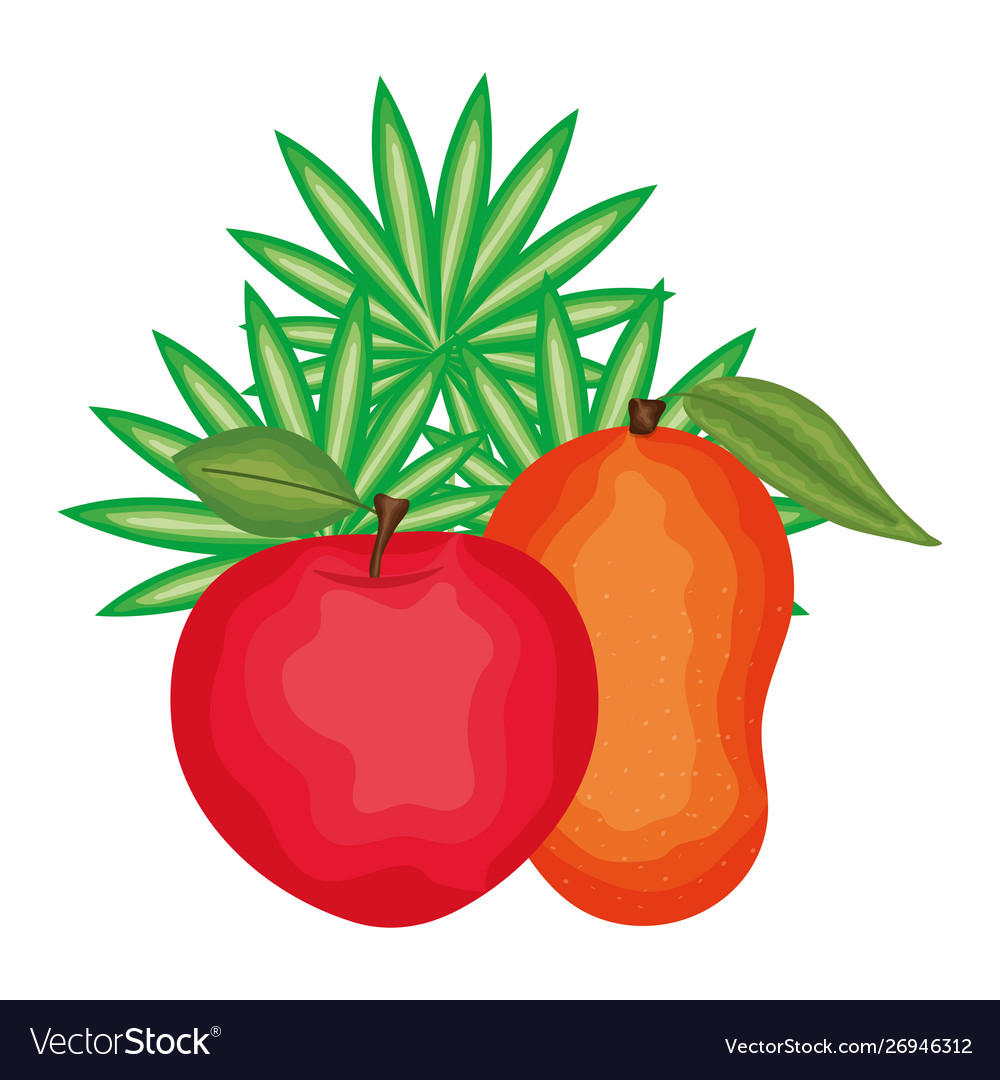 Fresh mango and apple fruits Royalty Free Vector Image