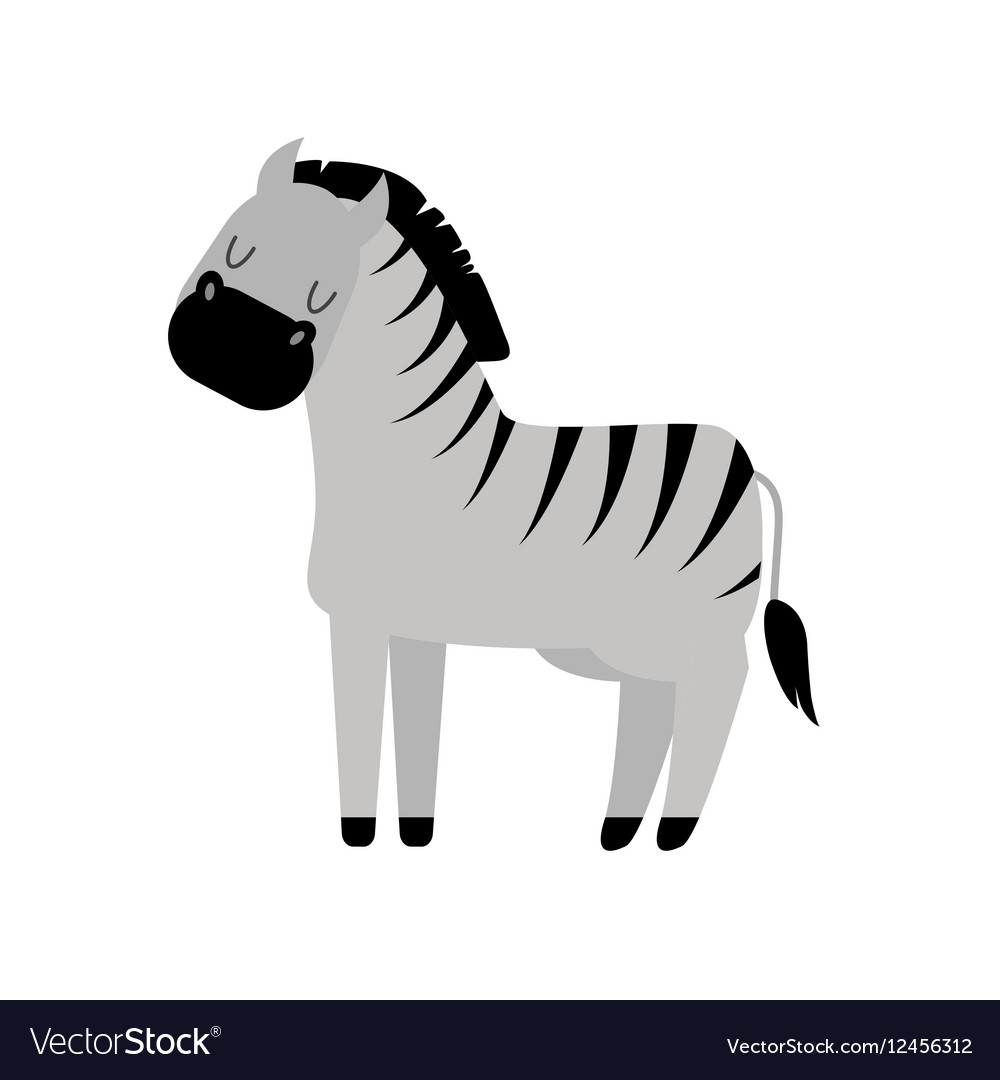Zebra Royalty Free Vector Image - VectorStock