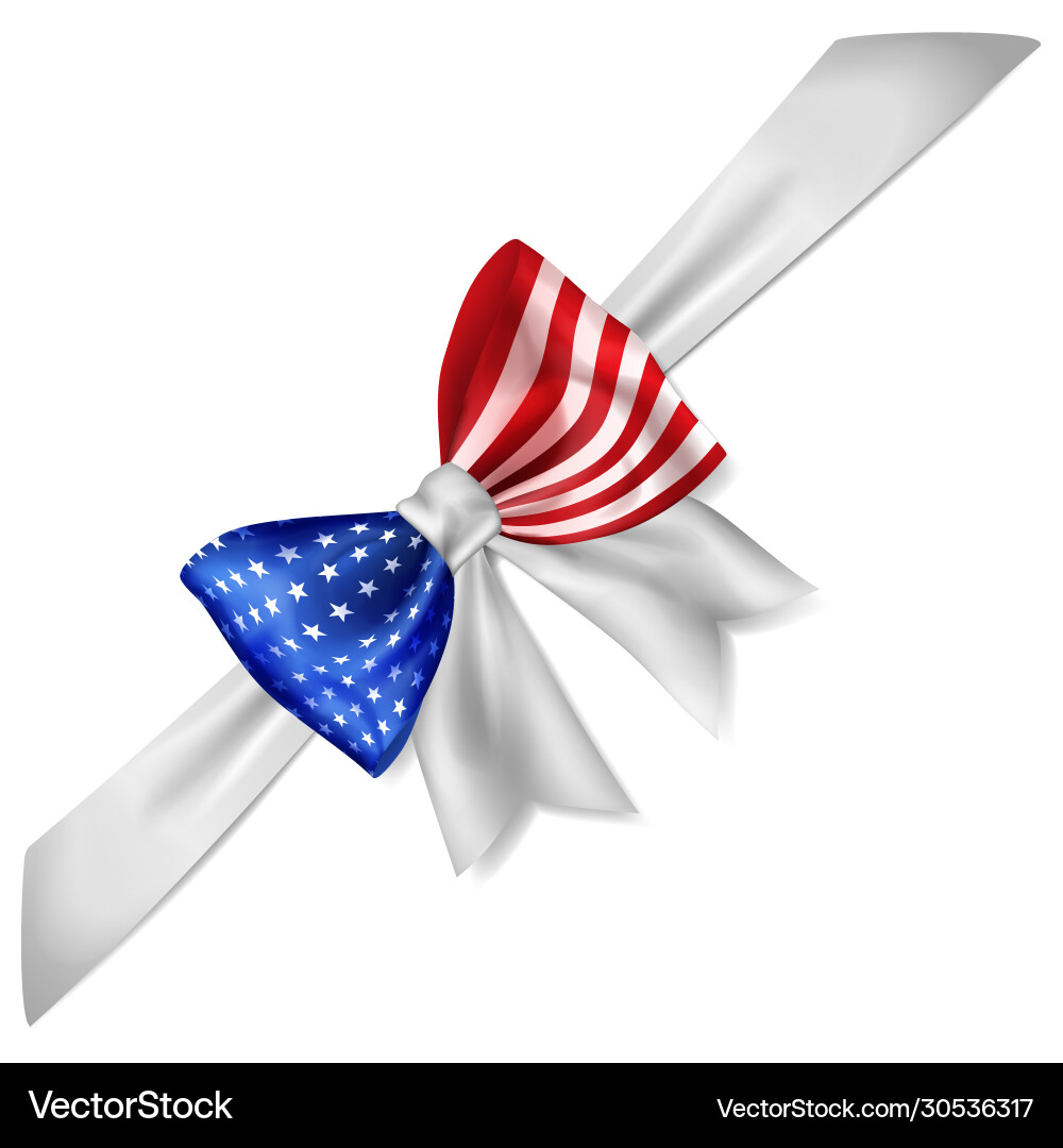 Big bow in us flag colors Royalty Free Vector Image