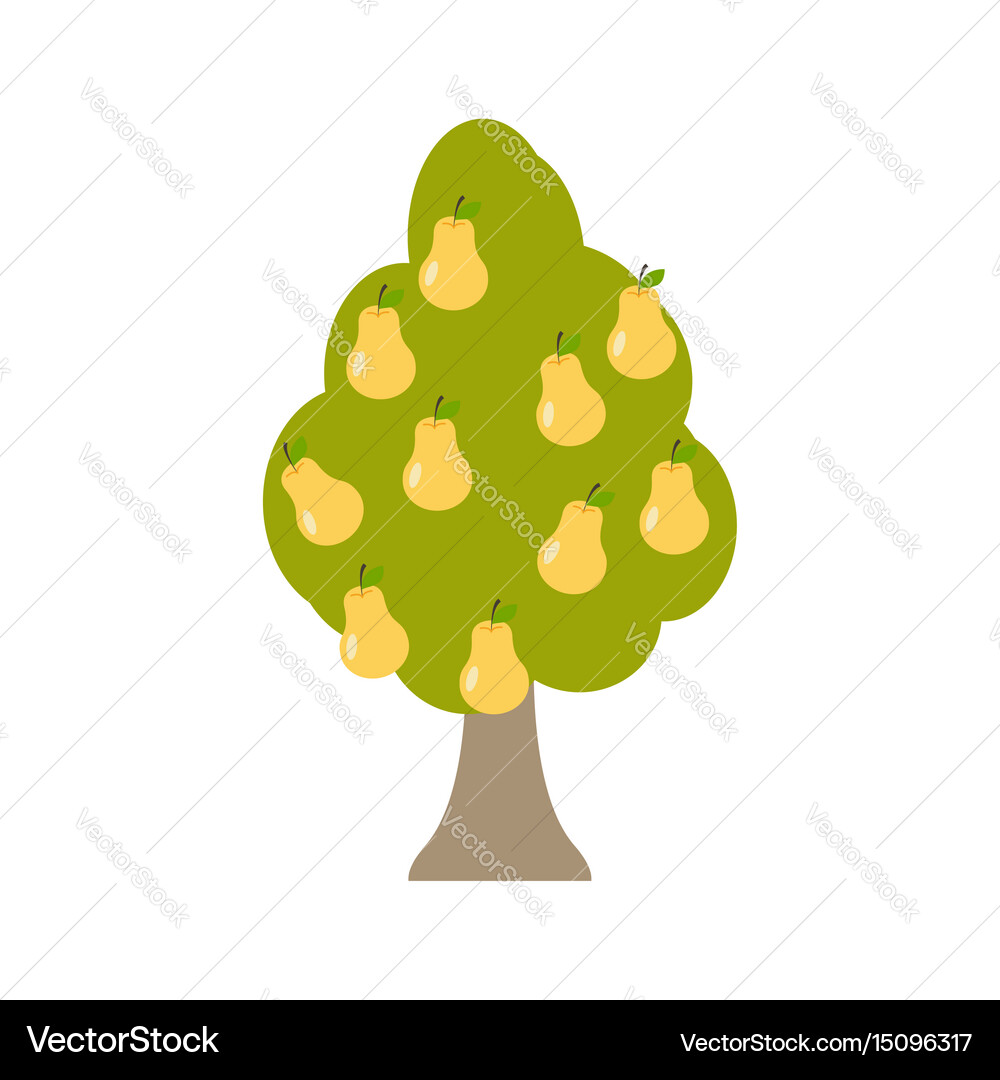 Pear tree isolated garden wood with pears Vector Image