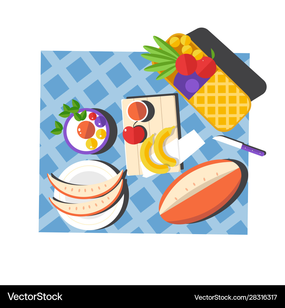 Picnic layout top view with sliced watermelon Vector Image