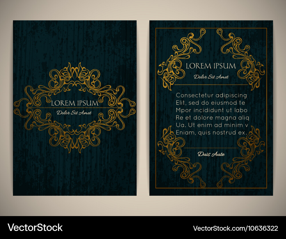 Cover design with ornamental frame retro style Vector Image