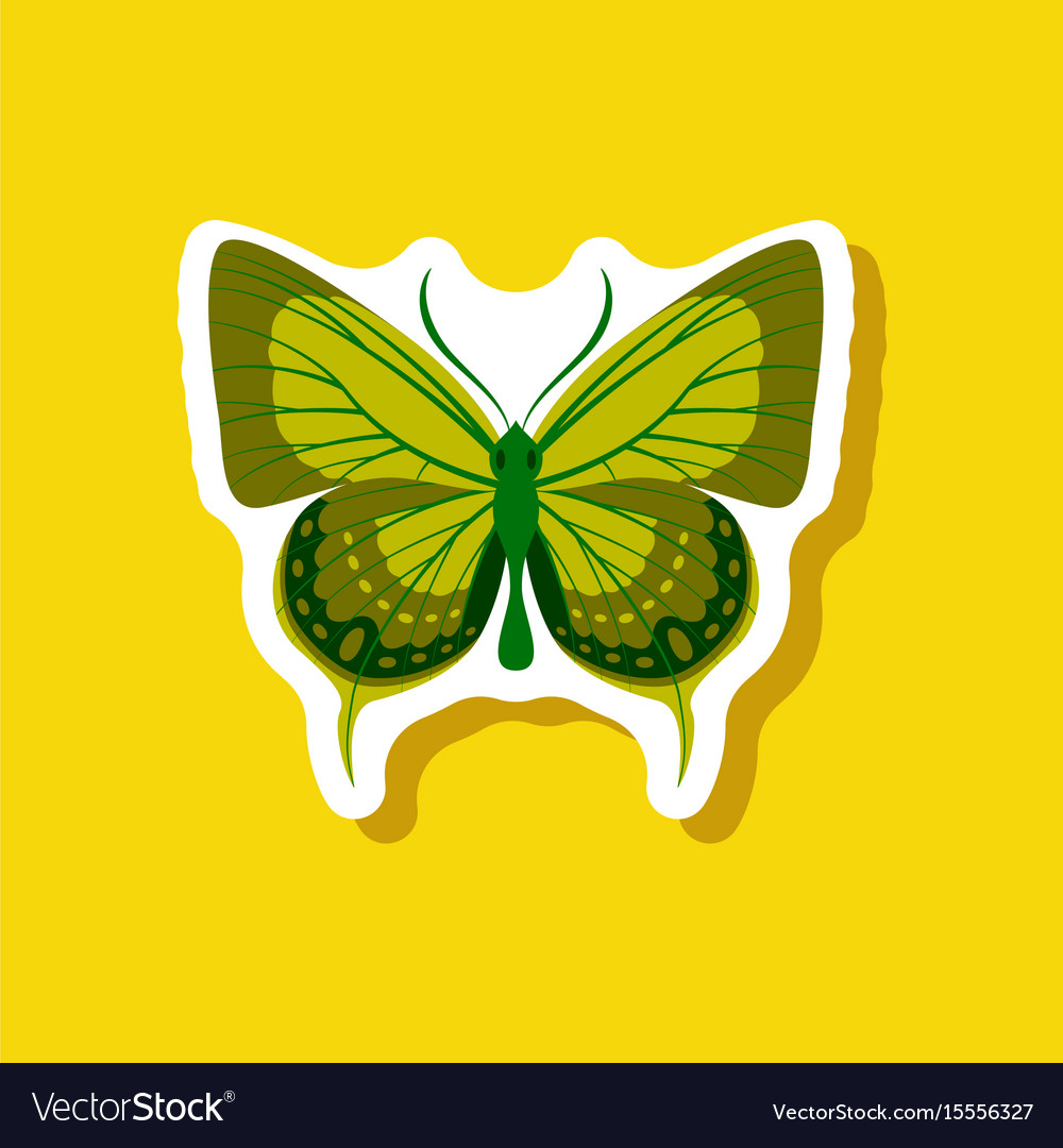 Butterfly Paper Sticker On Stylish Background Vector Image