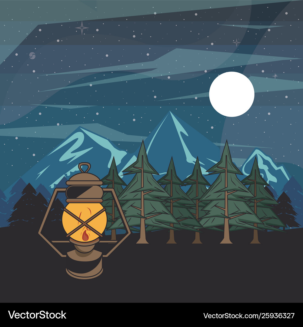 Camping adventure in forest at night scenery Vector Image