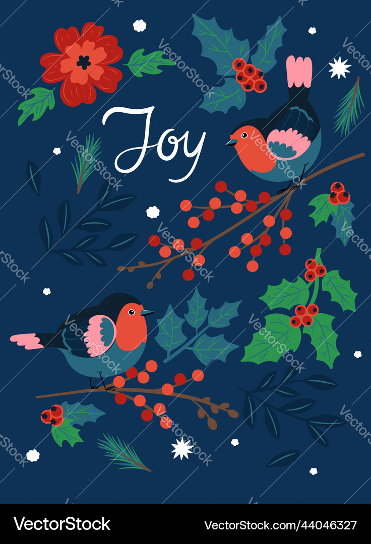 Christmas card with robin birds graphics Vector Image