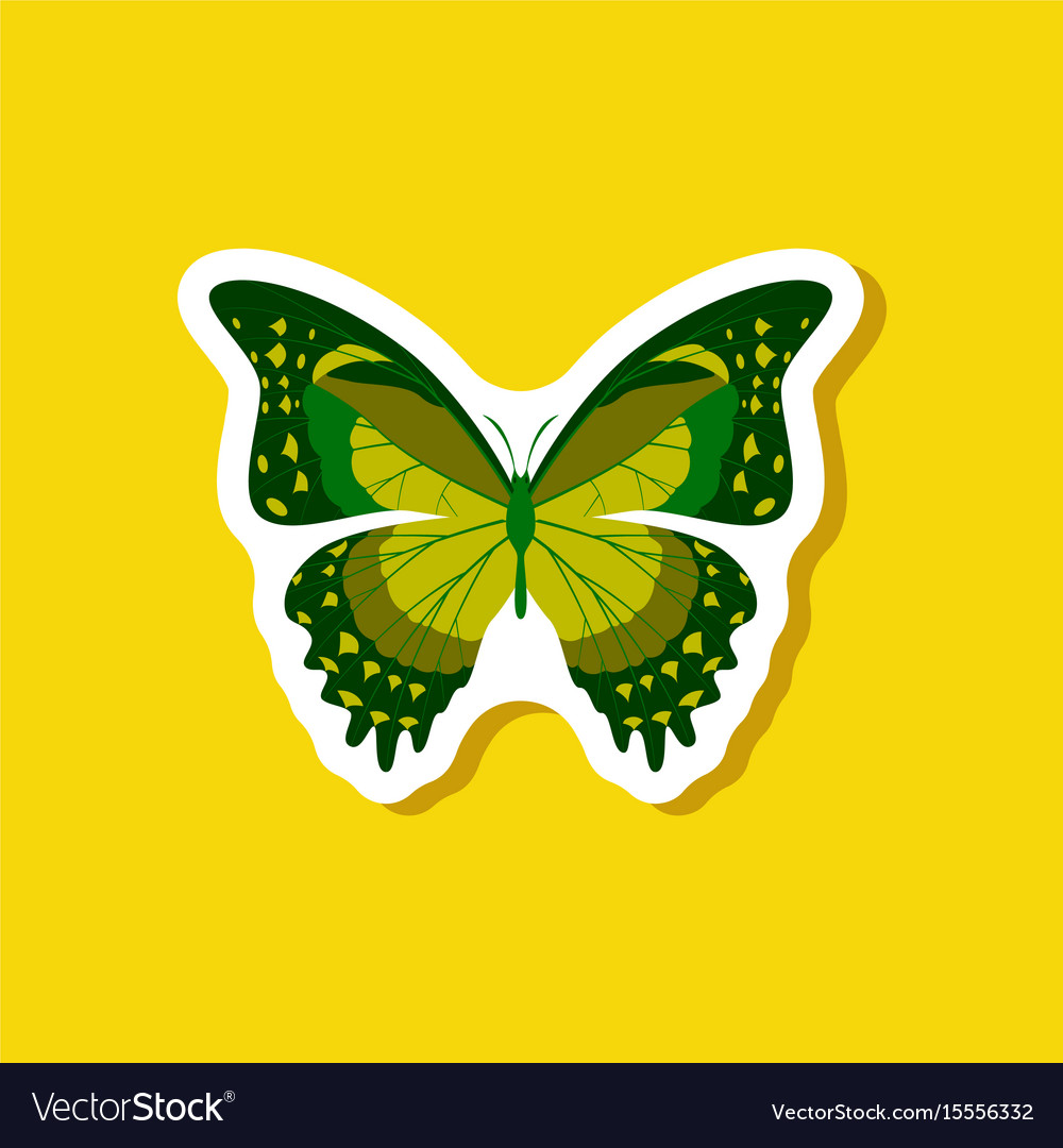 Butterfly Paper Sticker On Stylish Background Vector Image