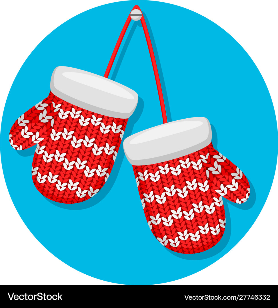Knitted winter mittens hang on a carnation Vector Image