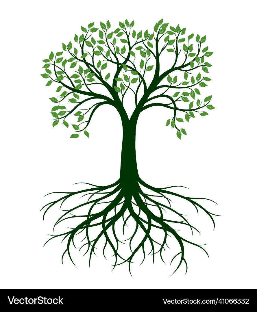 Shape of green tree outline plant Royalty Free Vector Image