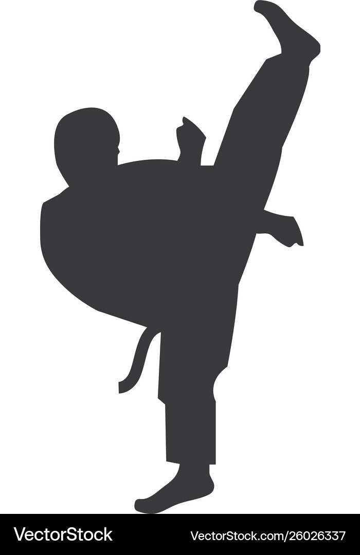 Karatetaekwondo kick logo template Royalty Free Vector Image