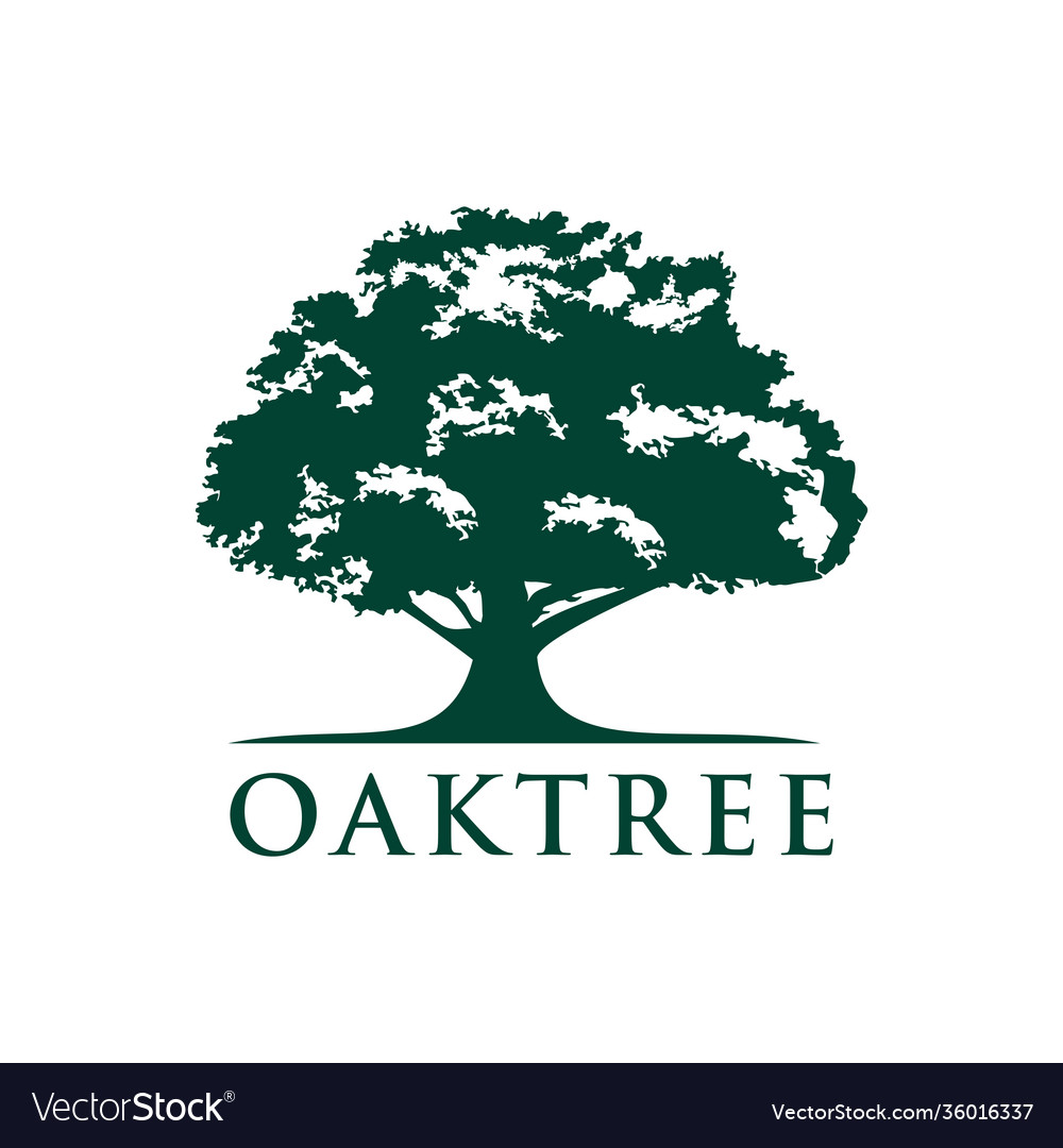 Oak tree Royalty Free Vector Image - VectorStock