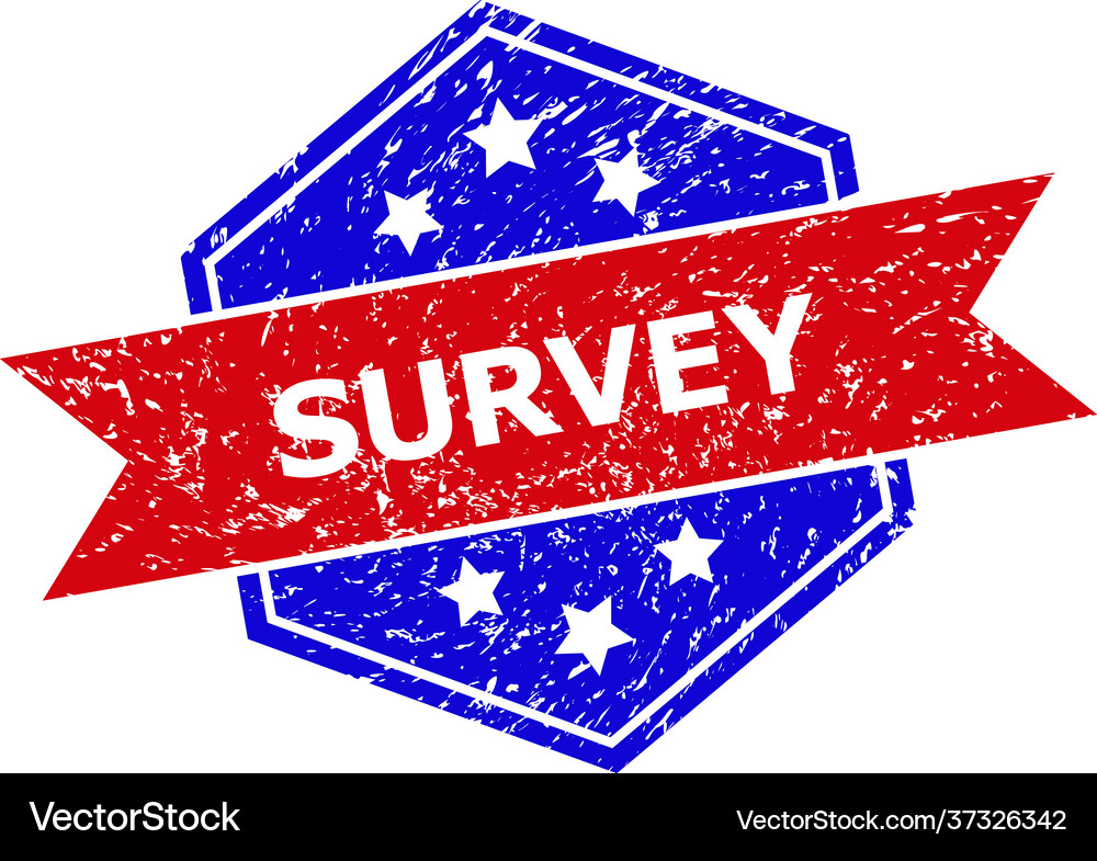 Hexagon bicolor survey stamp with grunge surface Vector Image