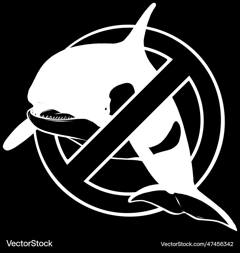 Killer whale in white line on black background Vector Image