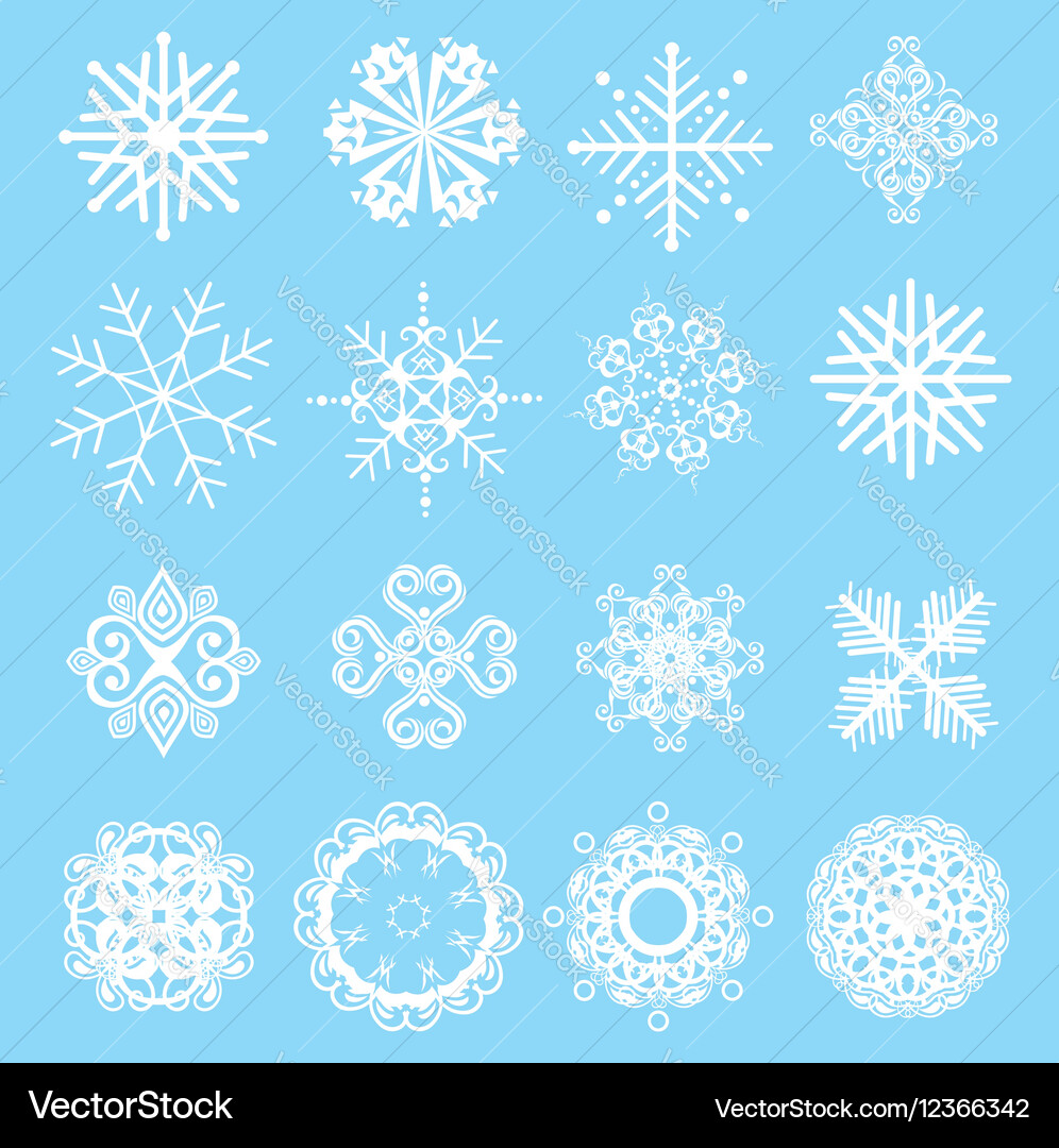 Set of white snowflakes Royalty Free Vector Image