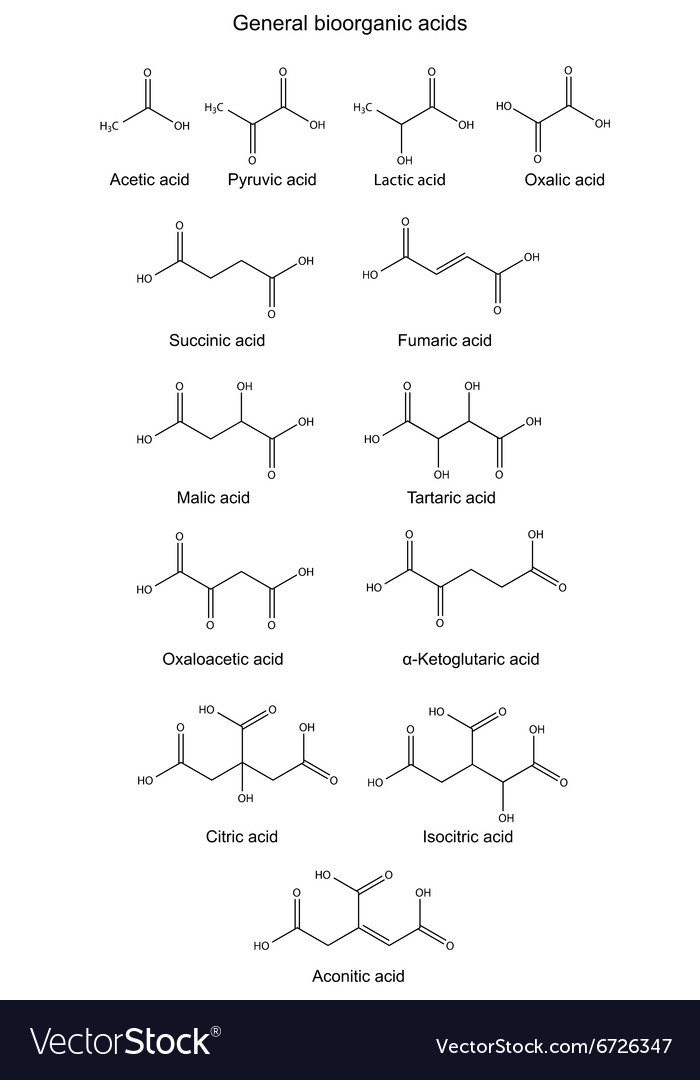 Formulas basic bioorganic acids Royalty Free Vector Image