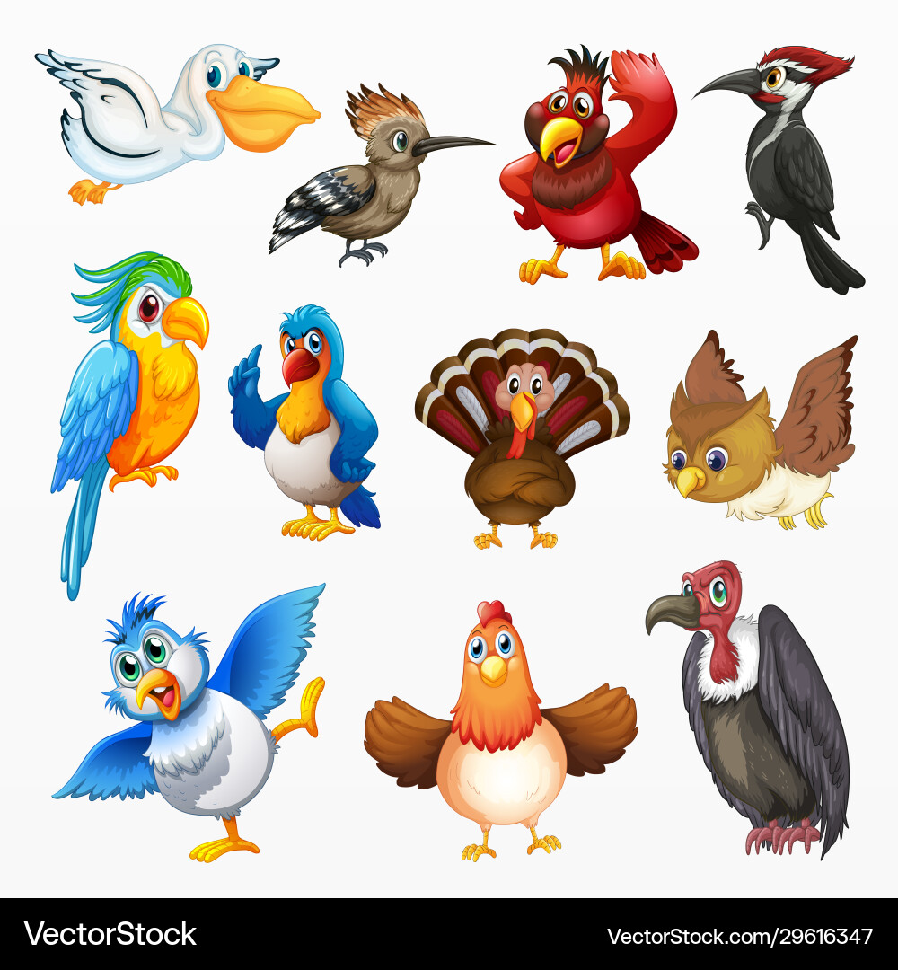 Variety birds cartoon set Royalty Free Vector Image