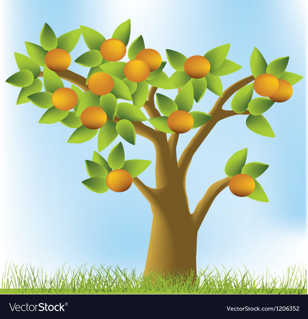Cartoon tree Royalty Free Vector Image - VectorStock