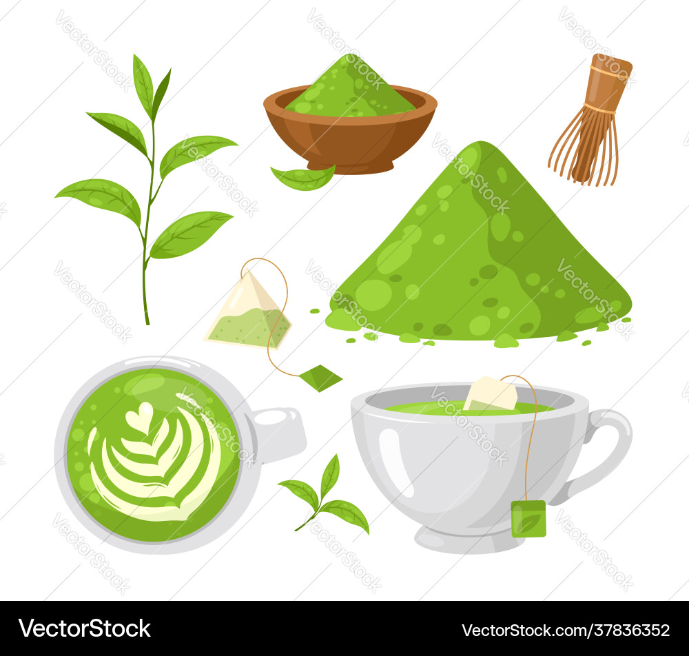 Organic tea matcha for japanese ceremony Vector Image