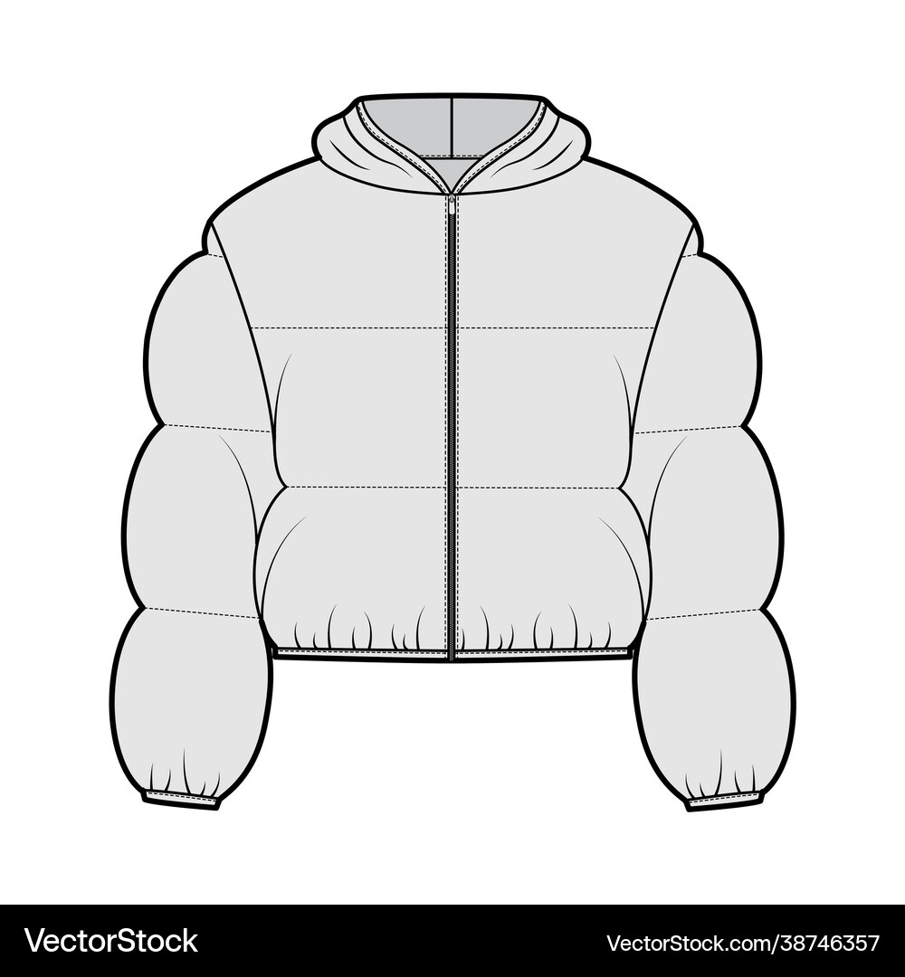 Hooded jacket down puffer coat technical fashion Vector Image