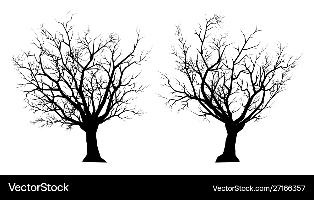 Dead Tree Silhouette Dead Tree Silhouettes Vector Art & Graphics