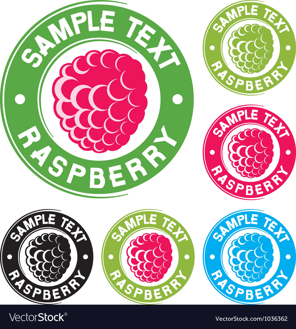 Raspberry icon Royalty Free Vector Image - VectorStock