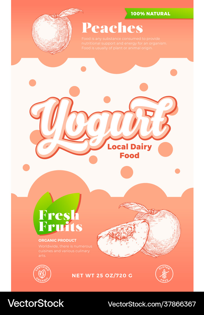 Fruits and berries yogurt label template abstract Vector Image