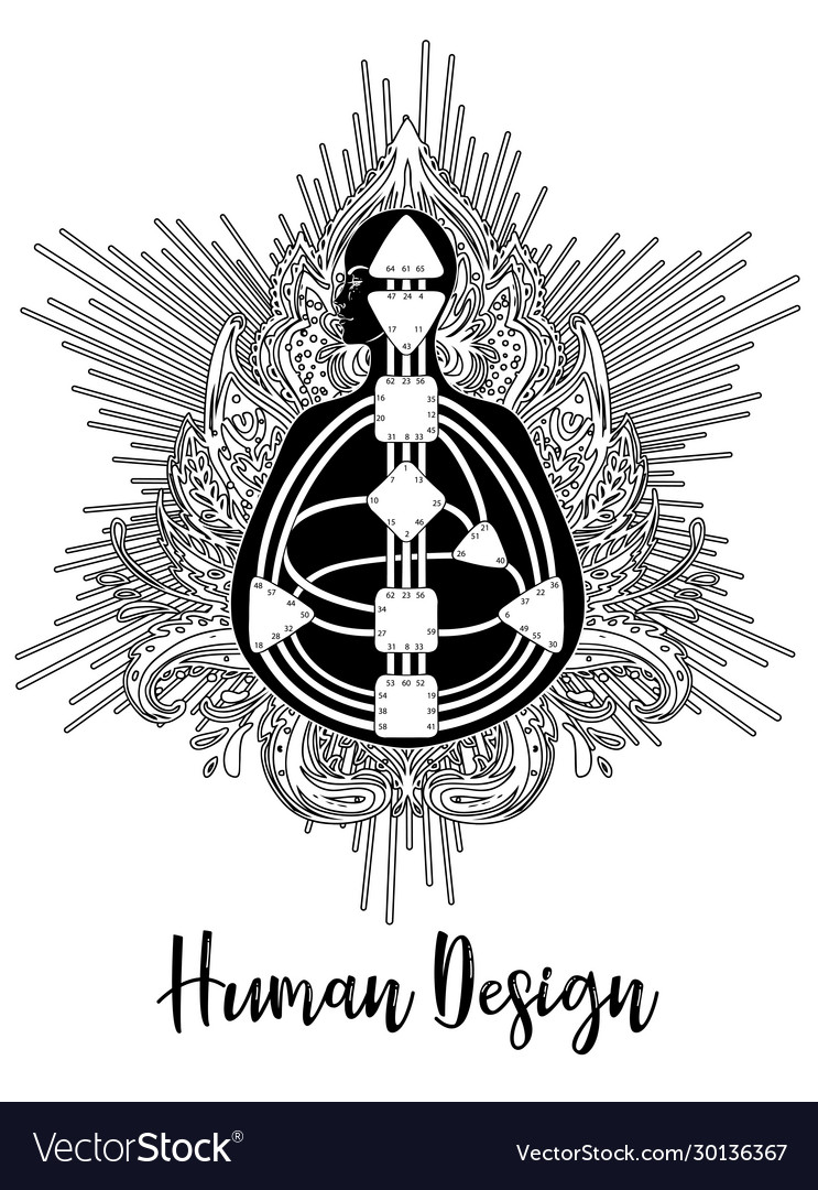 Human design bodygraph chart Royalty Free Vector Image