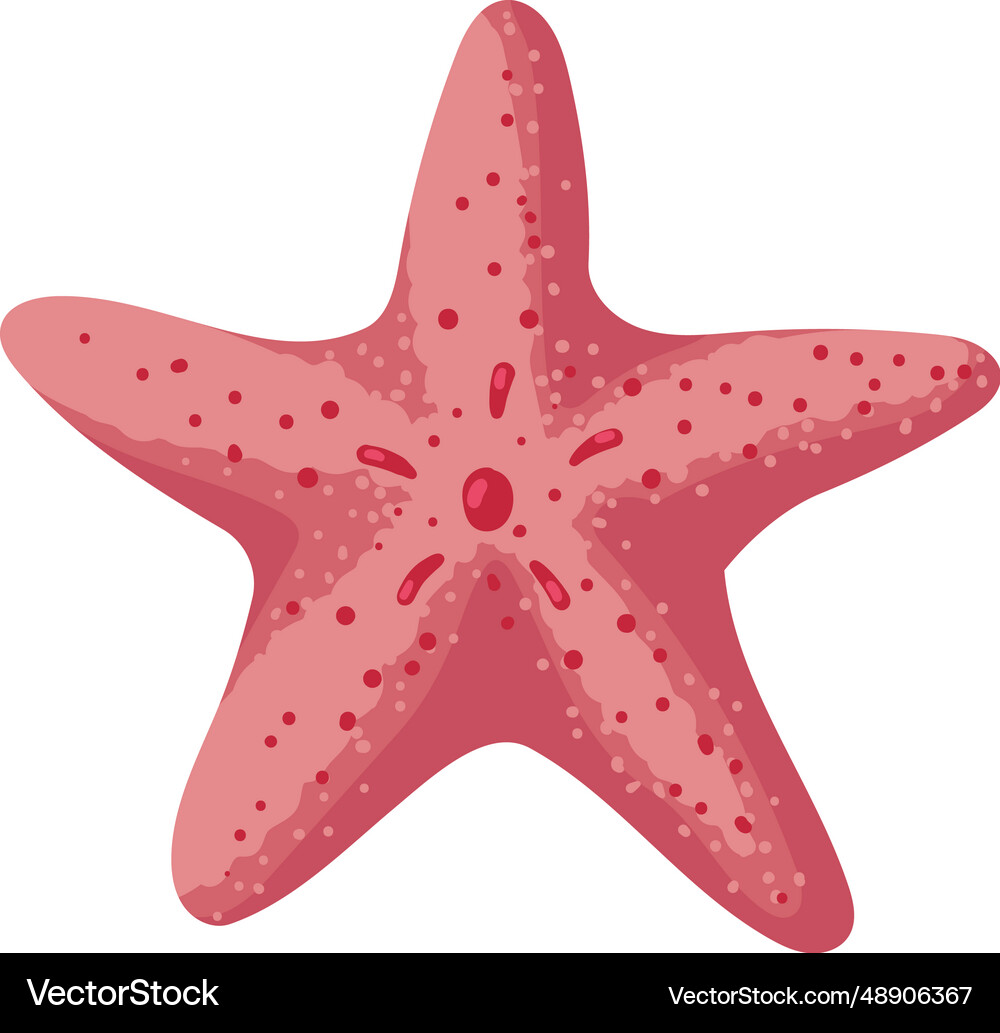 Pink starfish sea life design Royalty Free Vector Image
