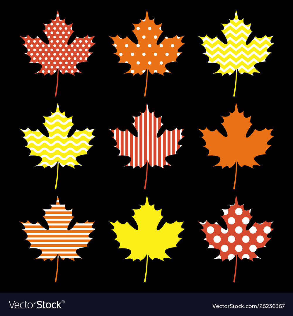 Set autumn maple leaf Royalty Free Vector Image