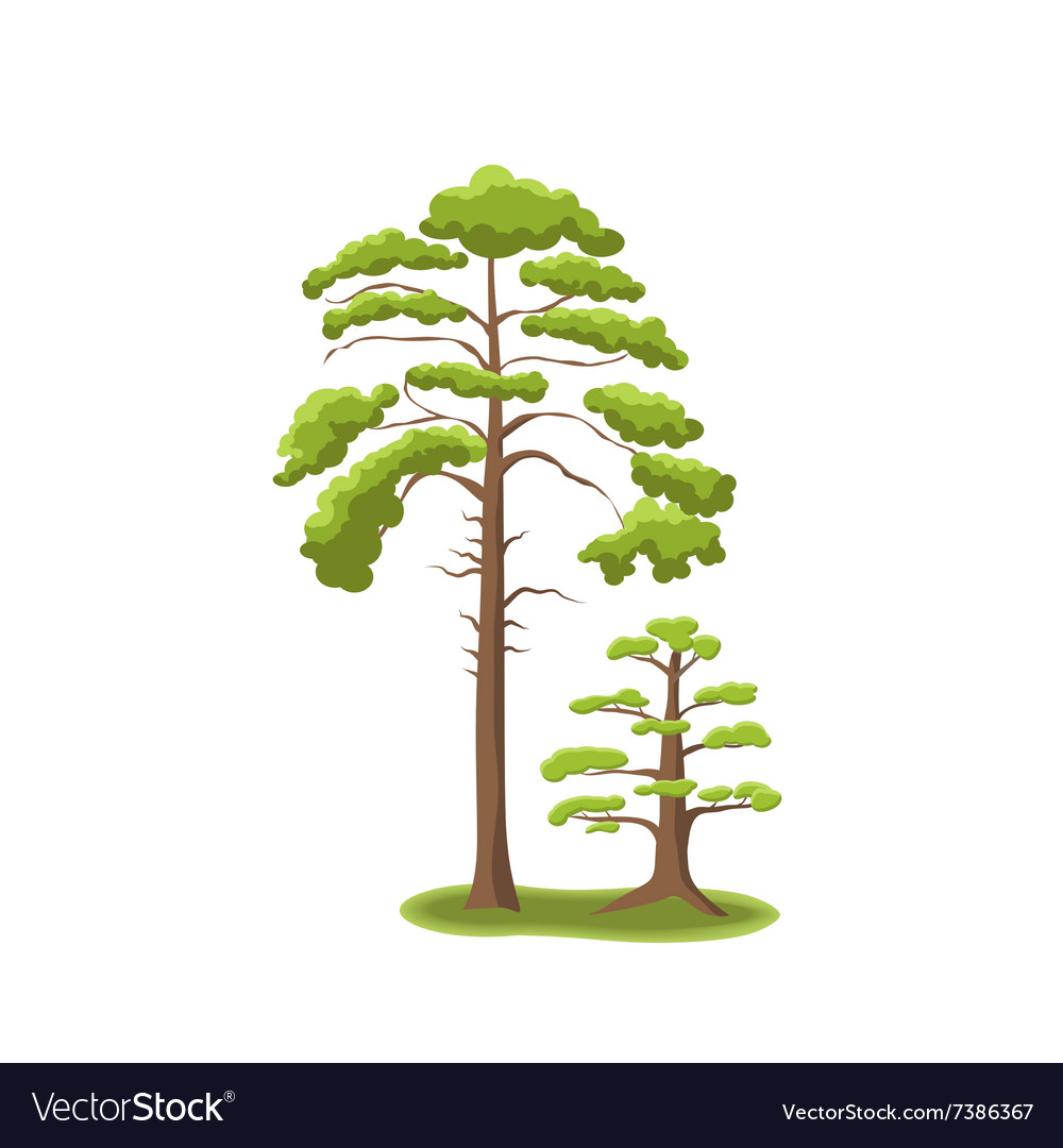 Stylized trees Royalty Free Vector Image - VectorStock