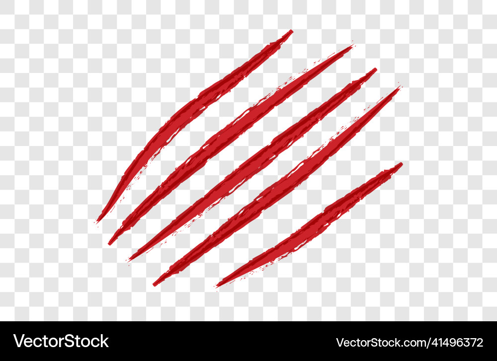 Claw scratch transparent background five nails Vector Image