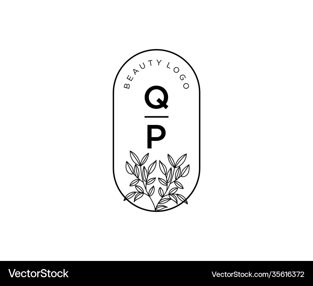Initial qp letters beautiful floral feminine Vector Image