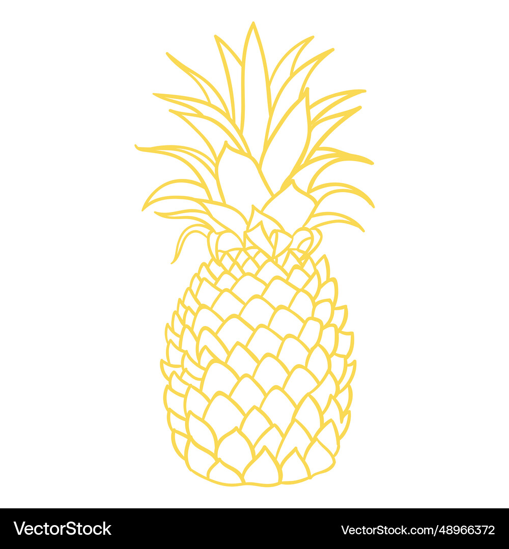Realistic pineapple stroke design Royalty Free Vector Image