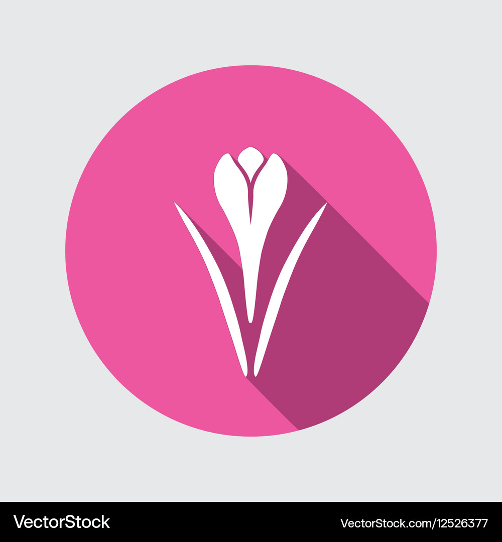 Spring flower icon crocus saffron herbs floral Vector Image