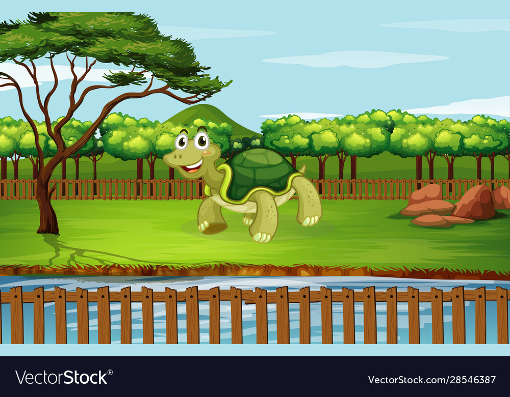 Scene with green turtle in zoo Royalty Free Vector Image