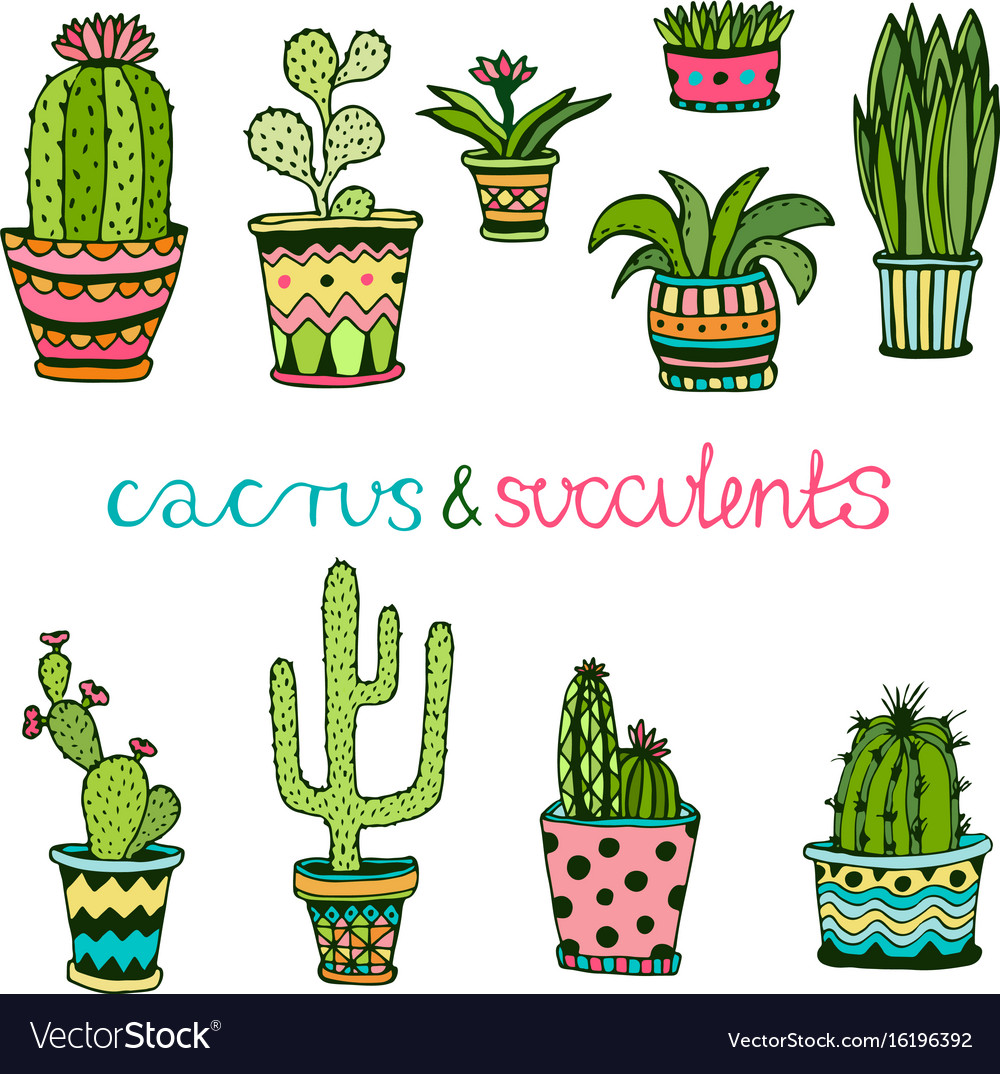 Cactuse and succulent hand drawn set doodle Vector Image