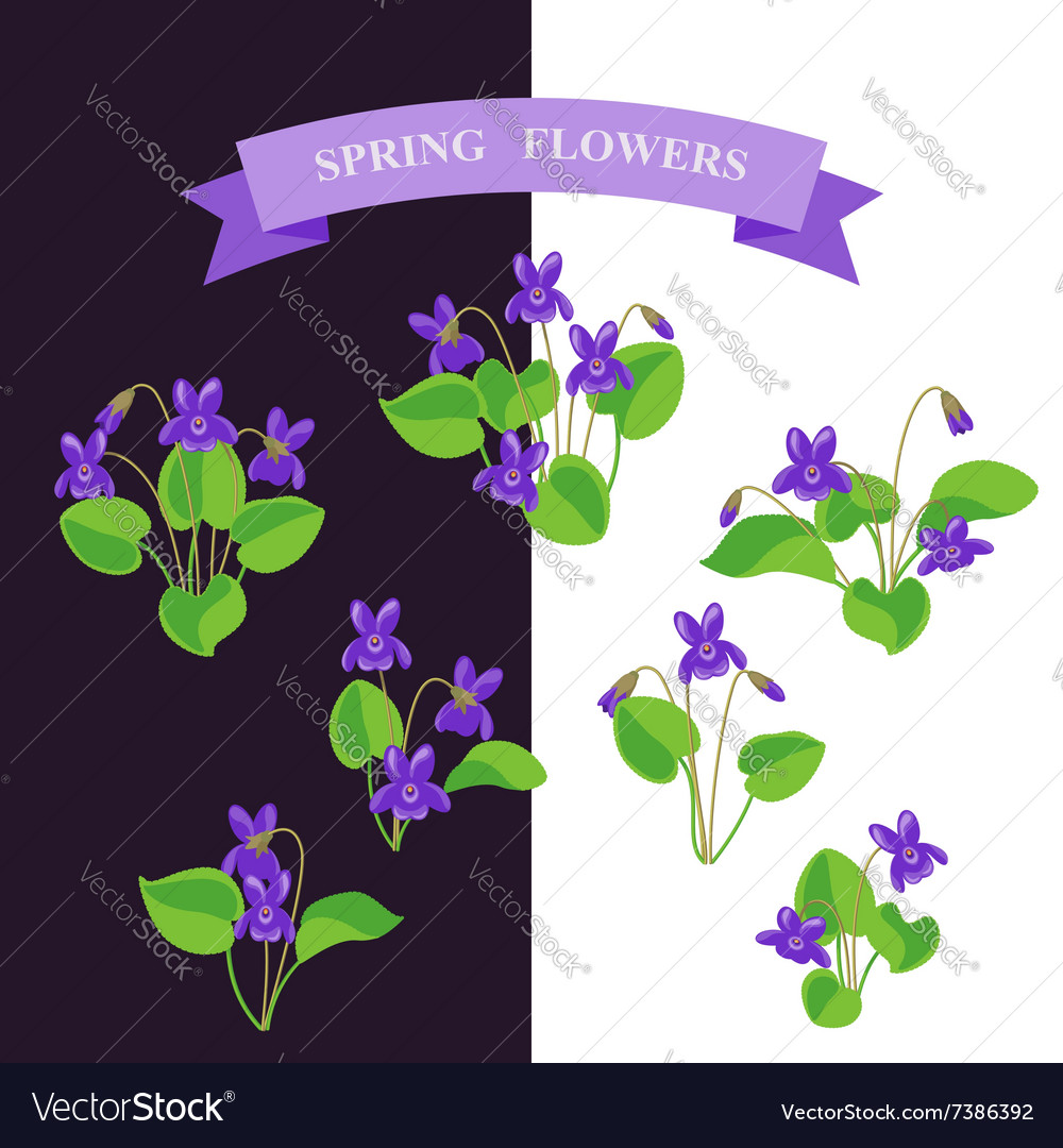 Violet set Royalty Free Vector Image - VectorStock