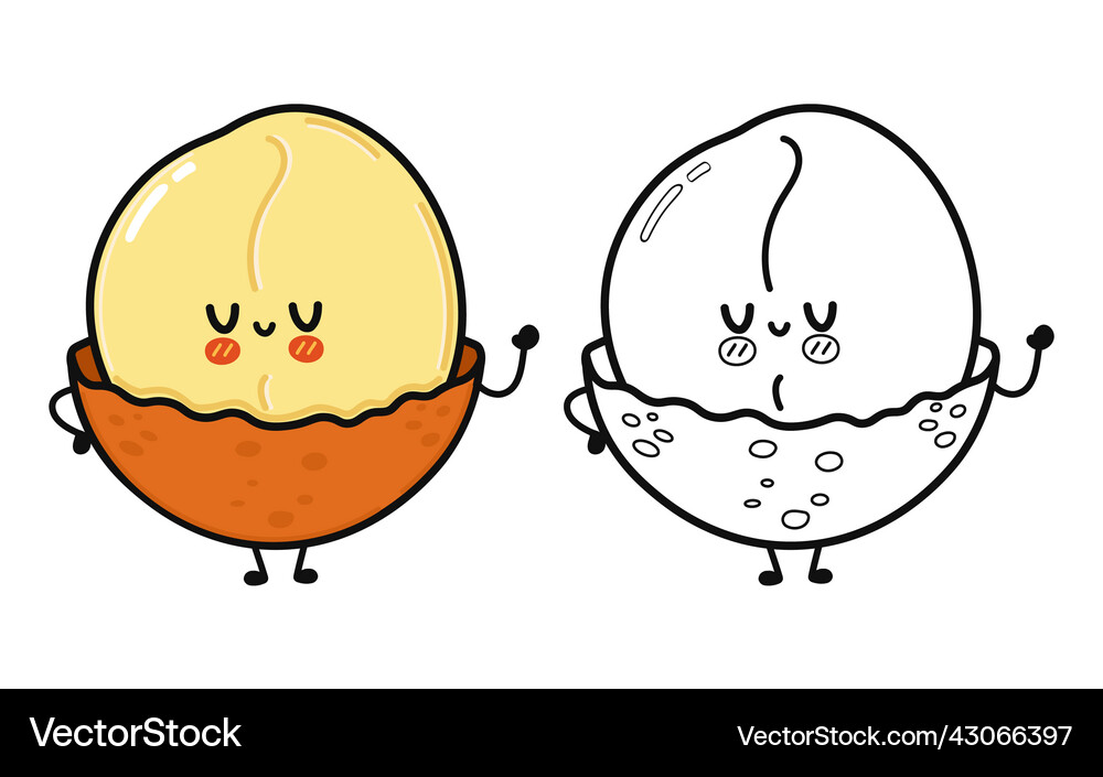 Cute funny macadamia waving hand character Vector Image