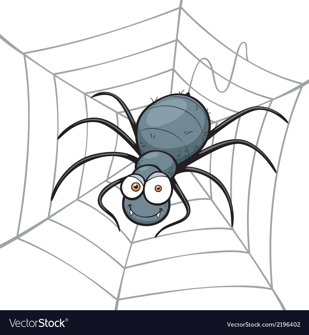 Spider Royalty Free Vector Image - VectorStock