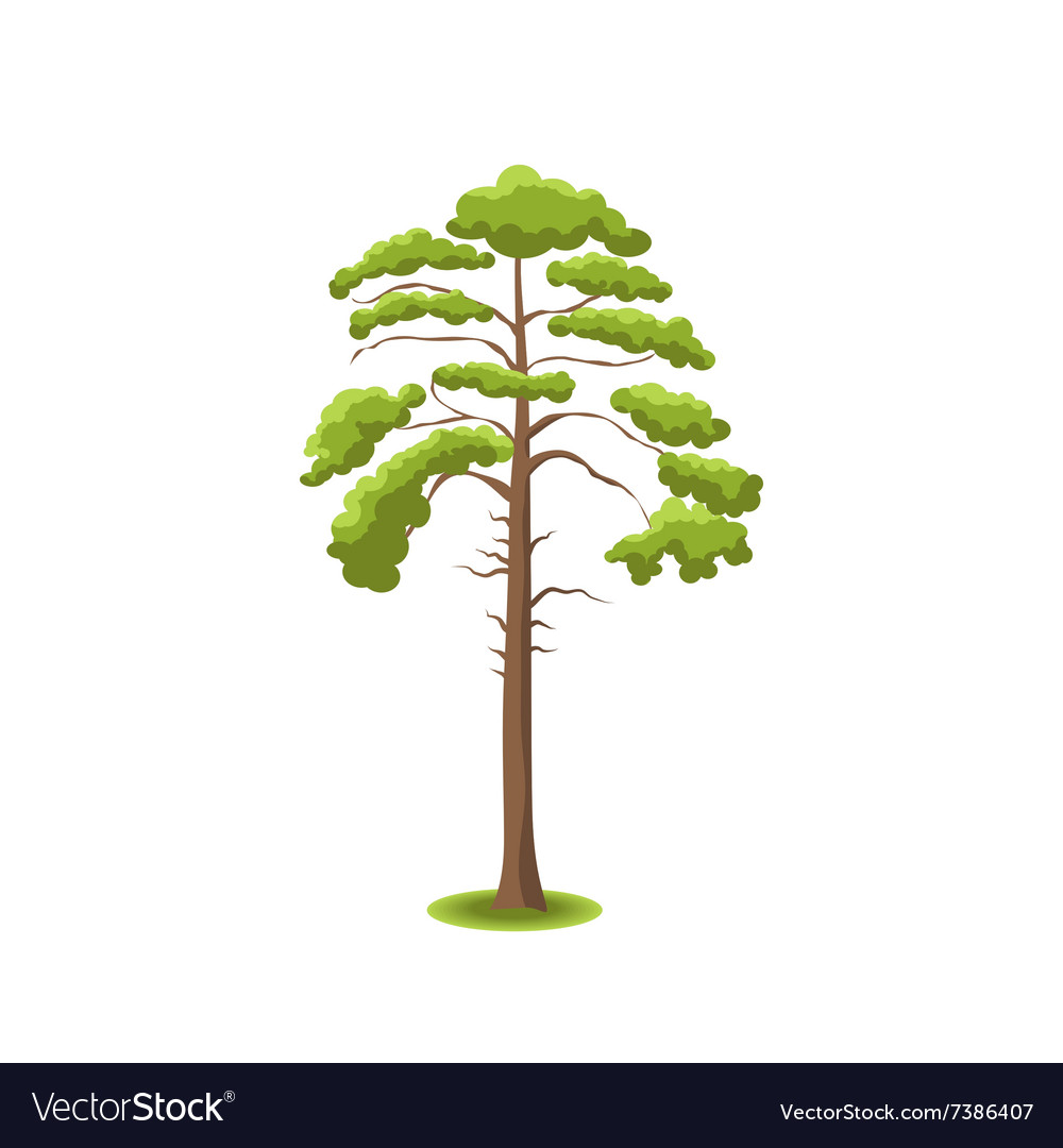Stylized trees Royalty Free Vector Image - VectorStock