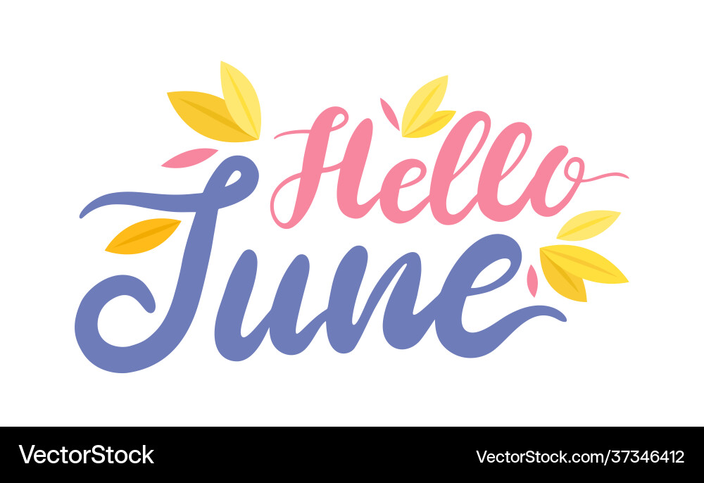 Hello june colorful banner with lettering Vector Image