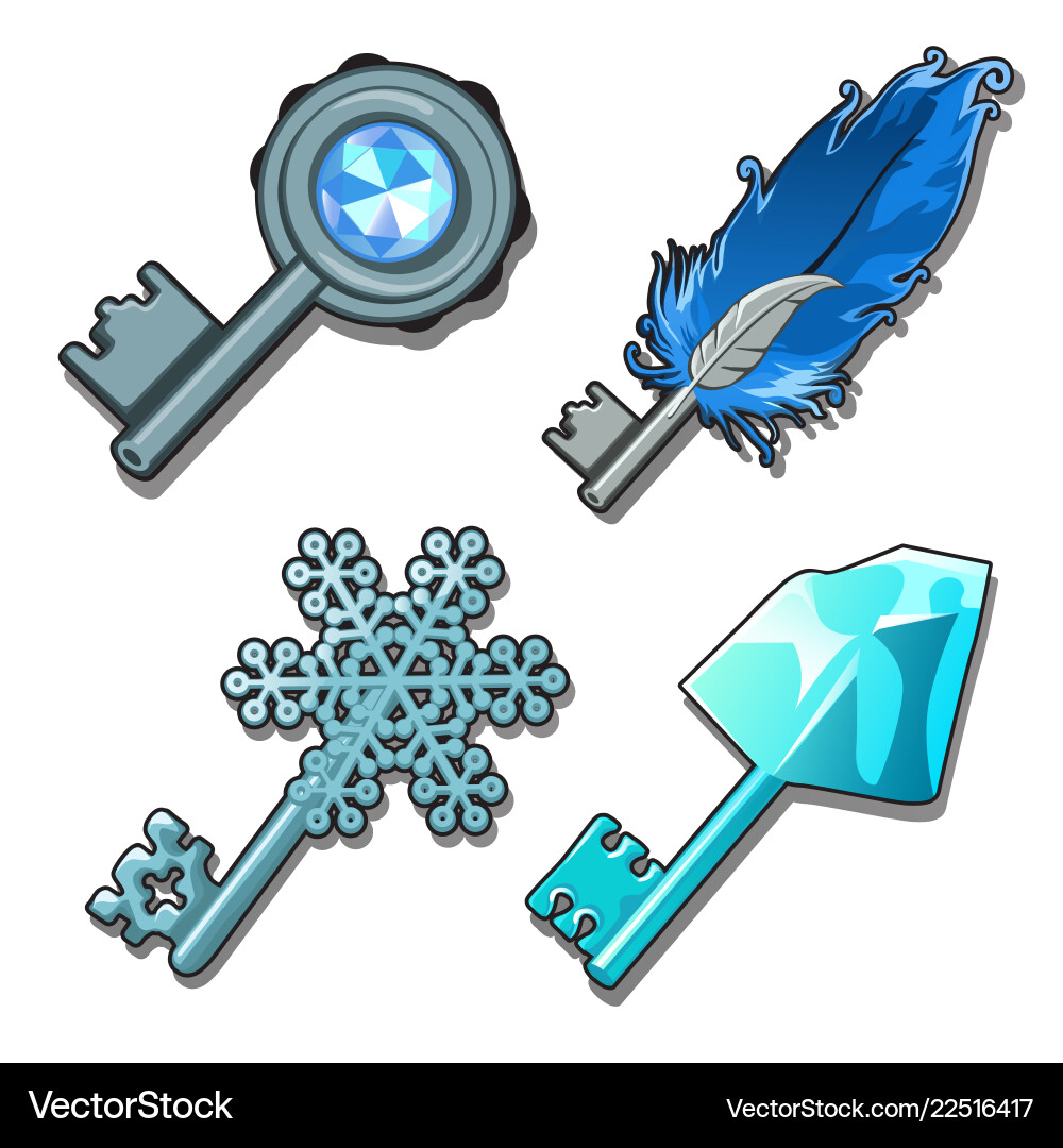 Set fancy keys isolated on a white background Vector Image