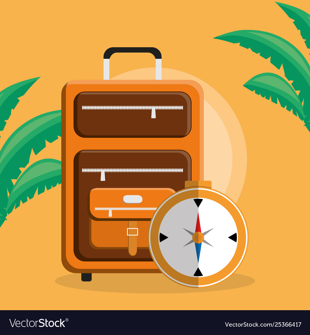 Suitcase travel with compass guide Royalty Free Vector Image