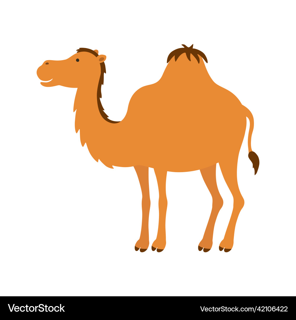 Cartoon camel isolated on white background eps10 Vector Image