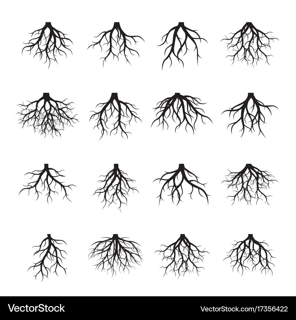 Collection of black trees Royalty Free Vector Image