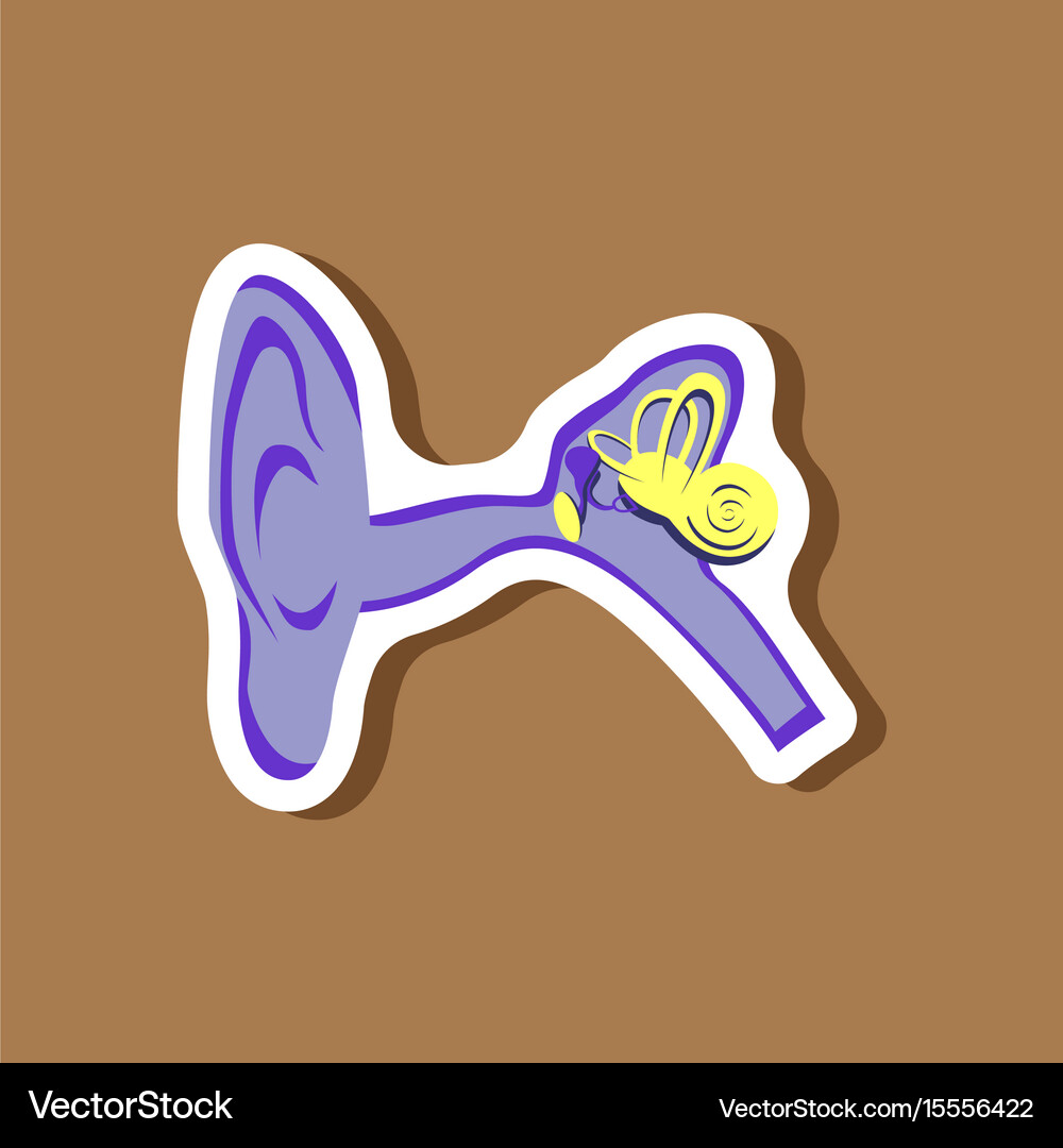 Human ear paper sticker on stylish background Vector Image
