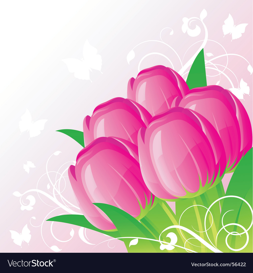 Tulip Royalty Free Vector Image - VectorStock
